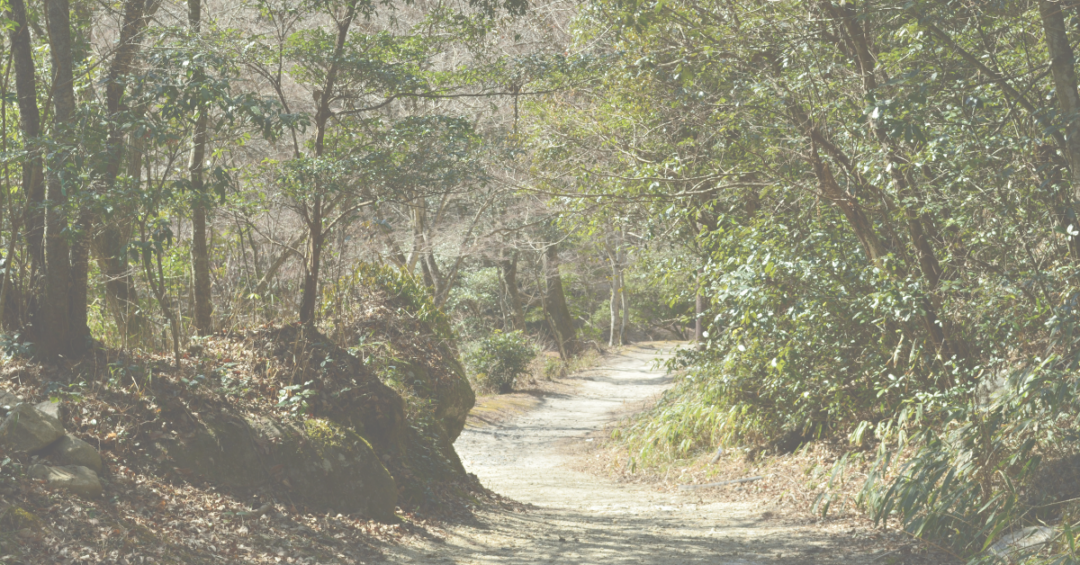 Pilgrimage with the Coat of Hopes – OneSpirit Interfaith Foundation